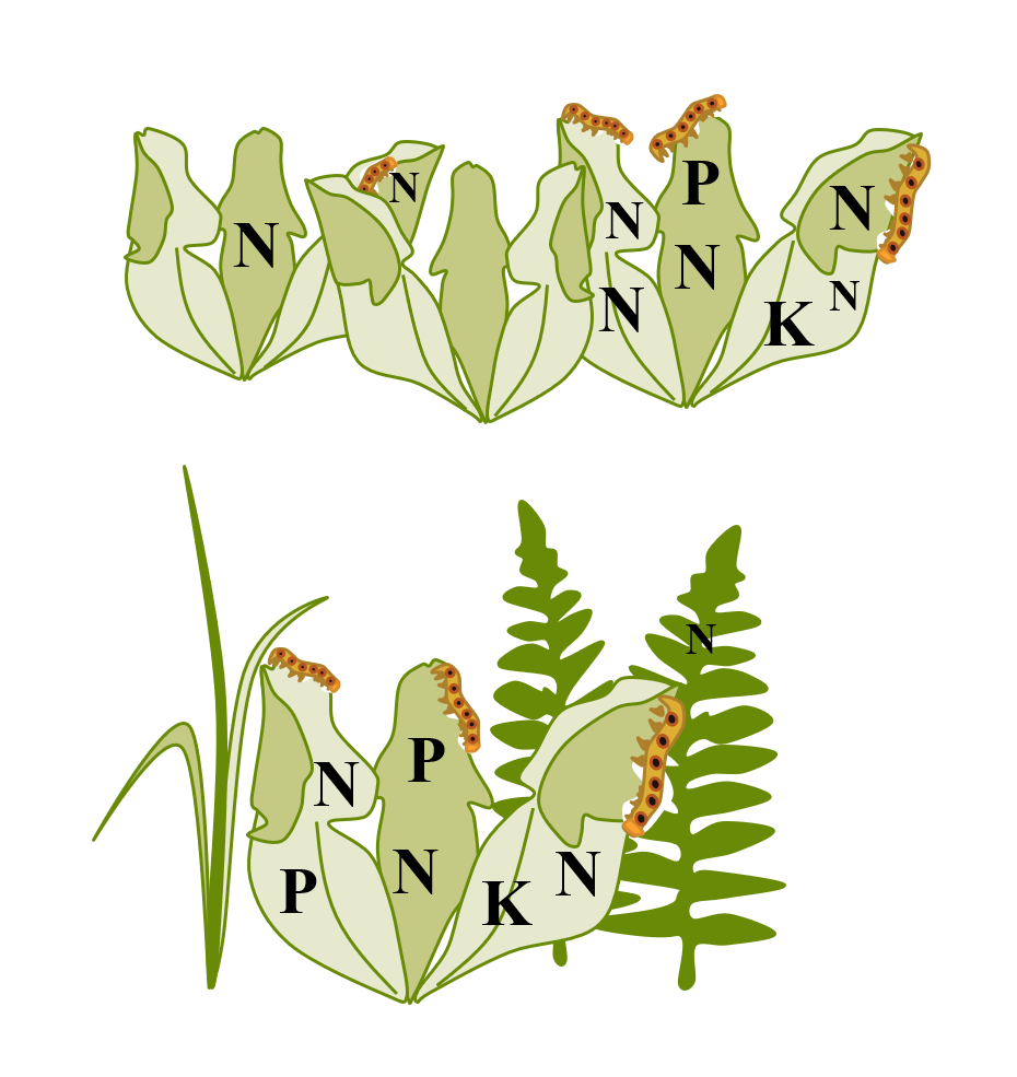 Research | Sylvie Martin-Eberhardt